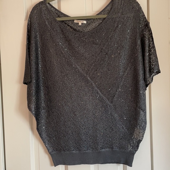 Matty M | Tops | Matty M Gray Sequin Top Oversized Never Worn | Poshmark